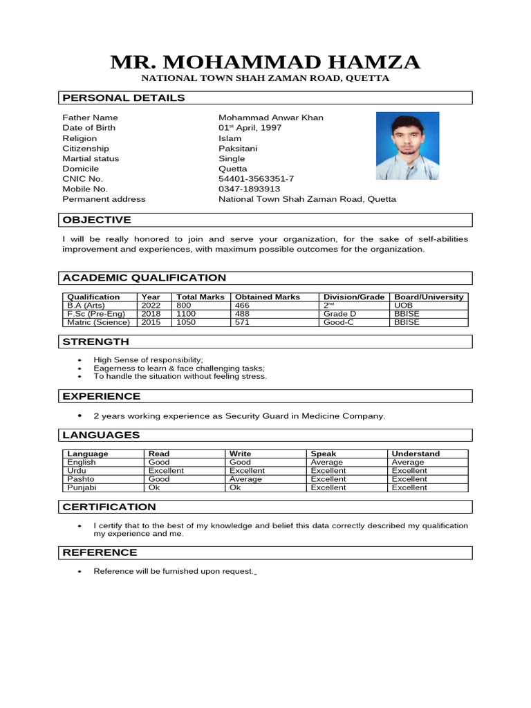 Hamza CV | PDF