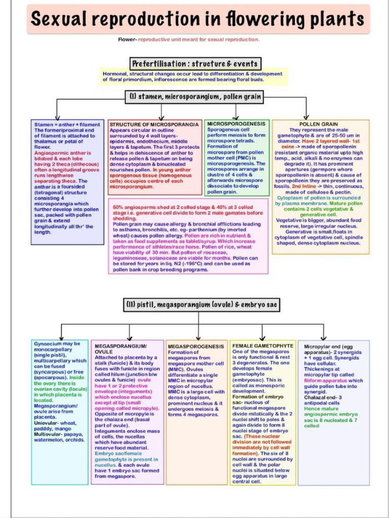Sexual Reproduction Notes | PDF