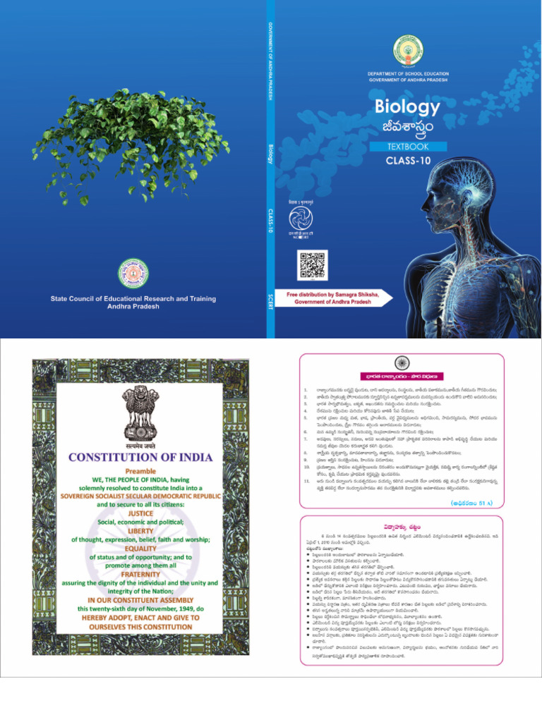10 Biology Textbook BM 2024-25 | PDF