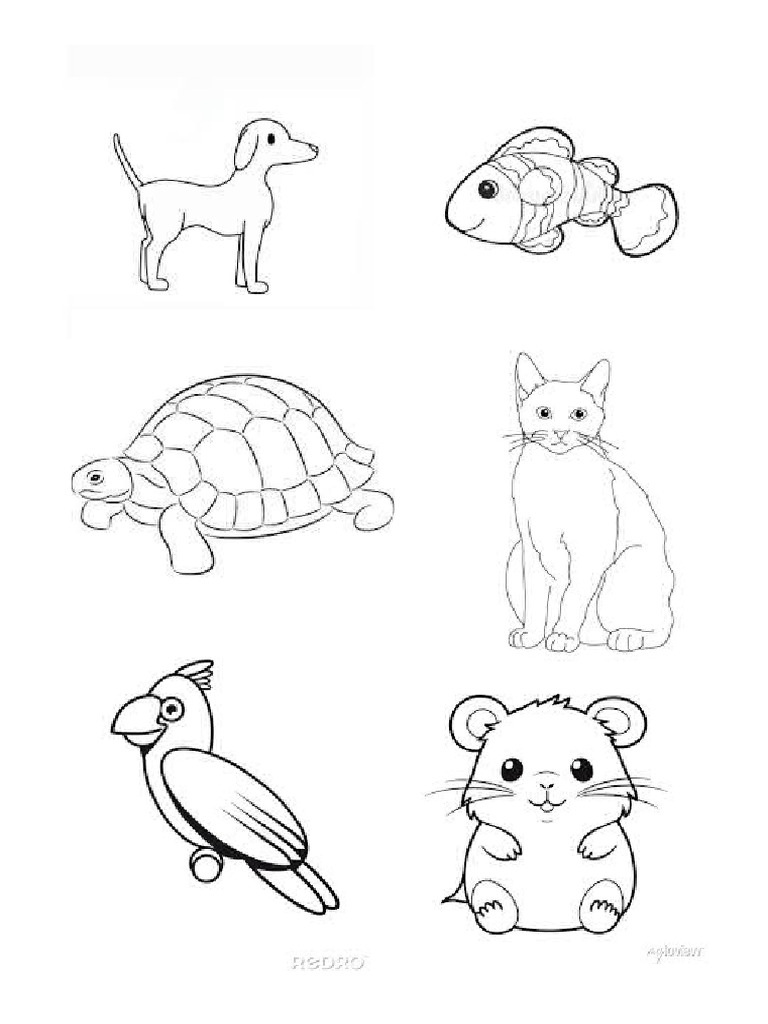 Pets | PDF