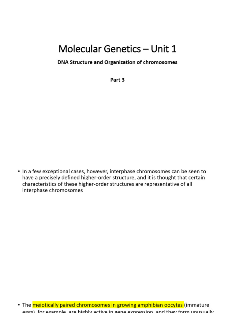04 - Molecular Genetics - Unit 1 Part 3 | PDF