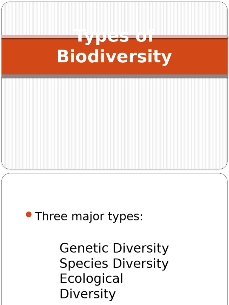 Types of Biodiversity | PDF