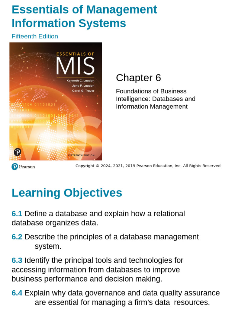 Laudon Emis15 PPT ch06 | PDF