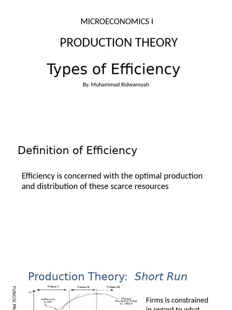 03-Theory of Efficiency | PDF