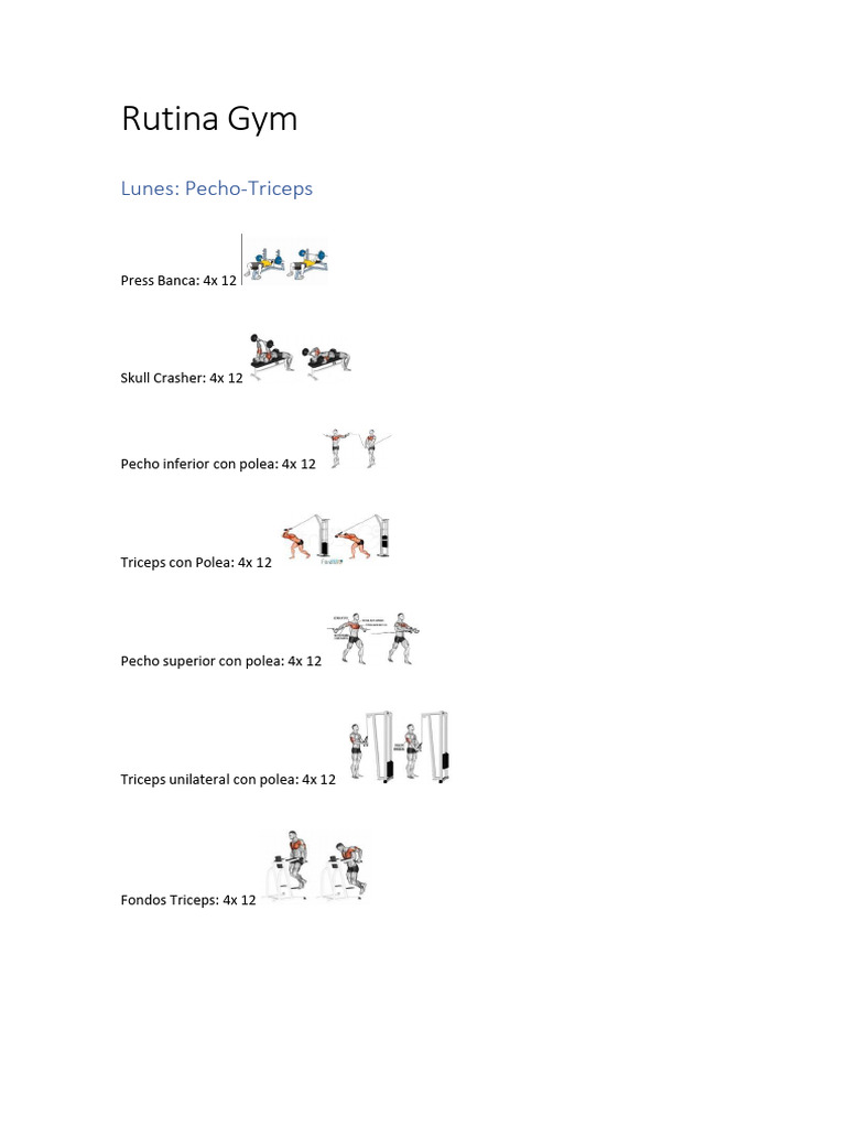 Rutina Gym (Hipertrofia) | PDF