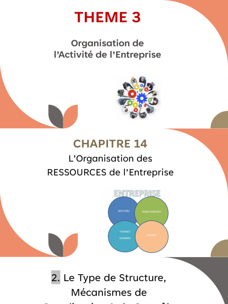 Structures - Mécanismes de Contrôle | PDF