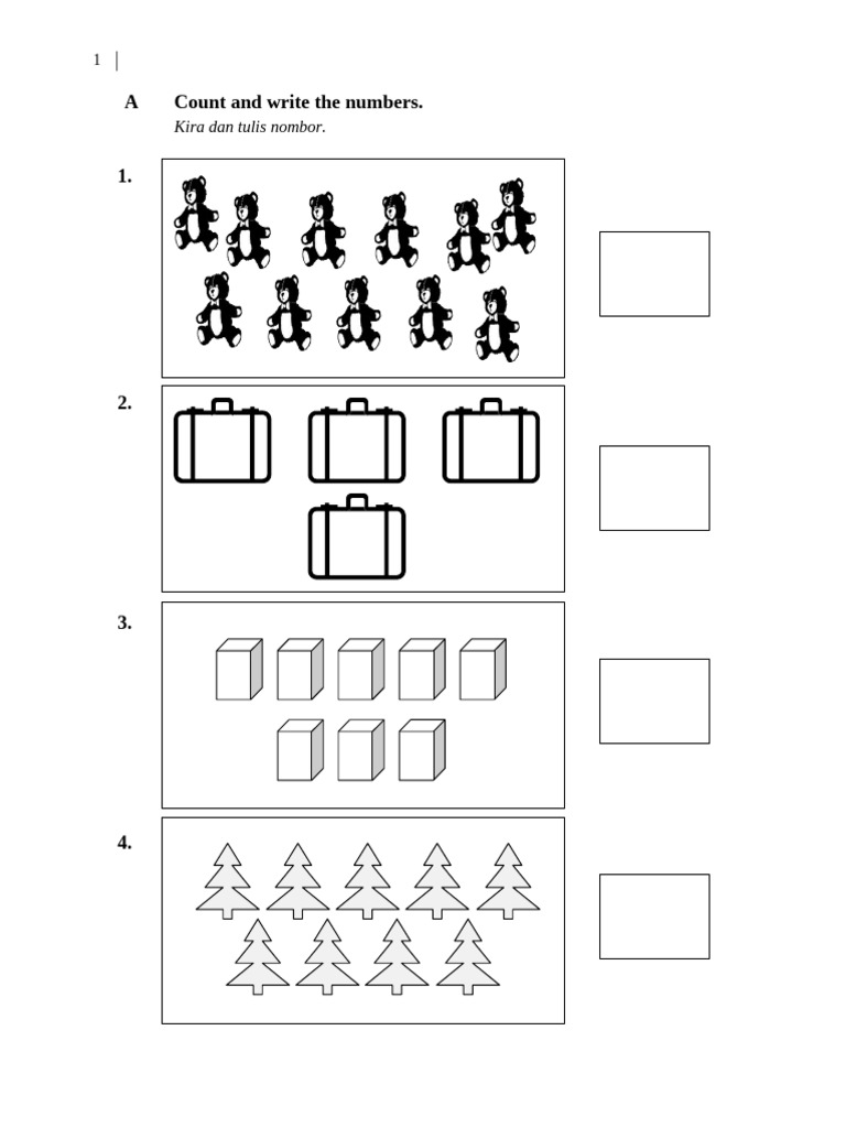 Maths DIAGNOSTIC Test Year 1 DLP | PDF