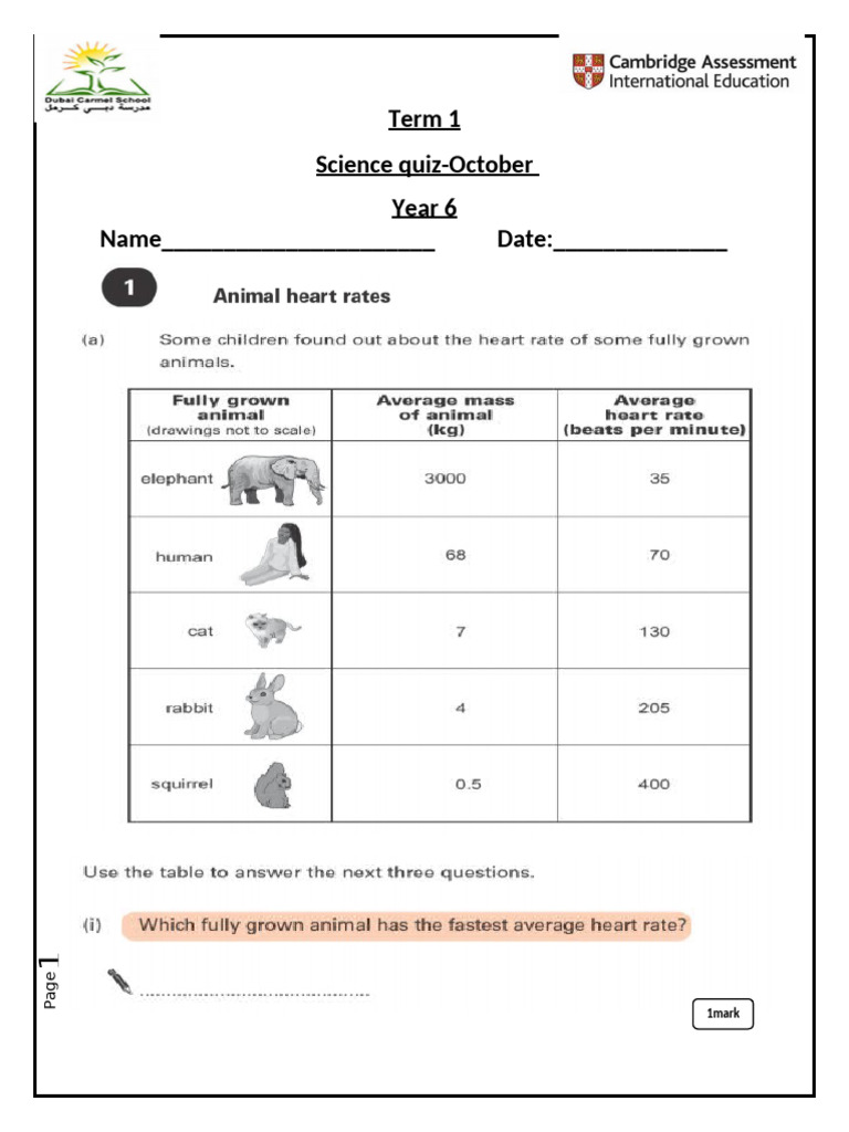 MONDAY Quiz | PDF
