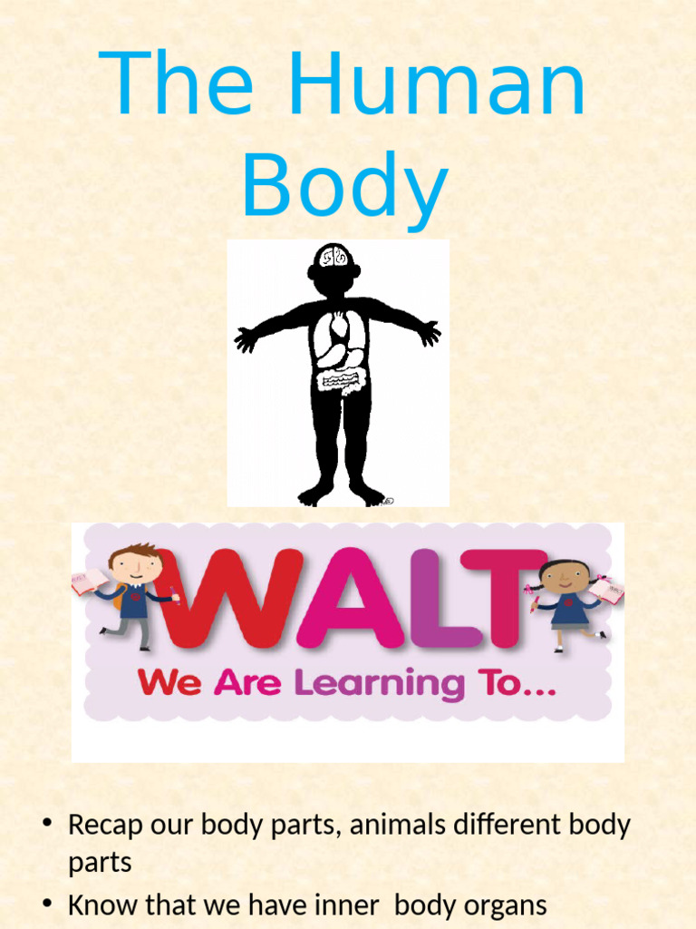 L1. The Human Body | PDF