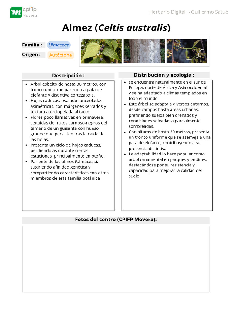 Herbario Digital Pdf