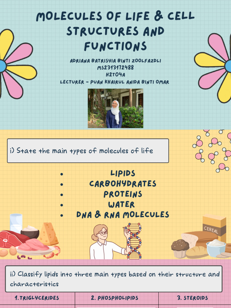 Bio Flipbook PDF | PDF