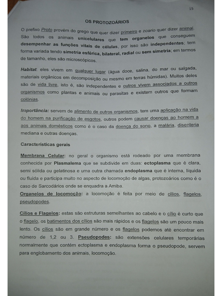Ficha 3 ZS | PDF