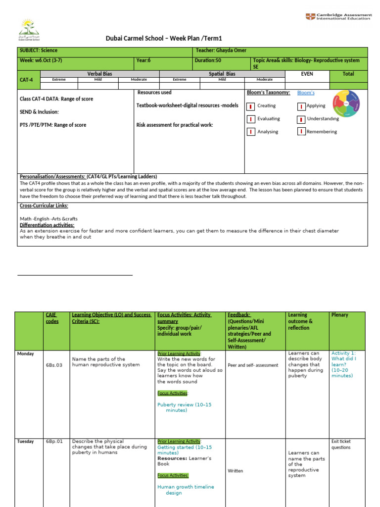 W7.oct - Week Plan Y6 | PDF