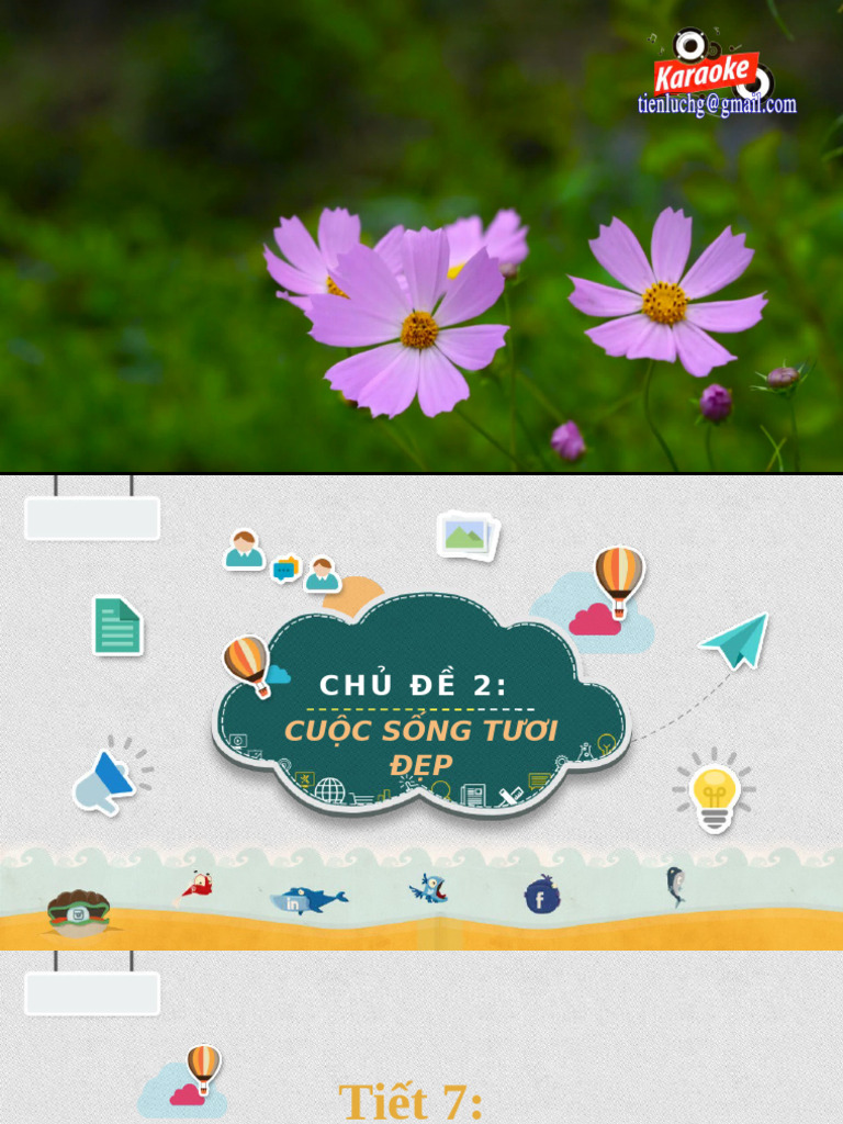 Âm NH C 6 He Thong Ki Hieu Am Bang Chu Cai Latinh | PDF