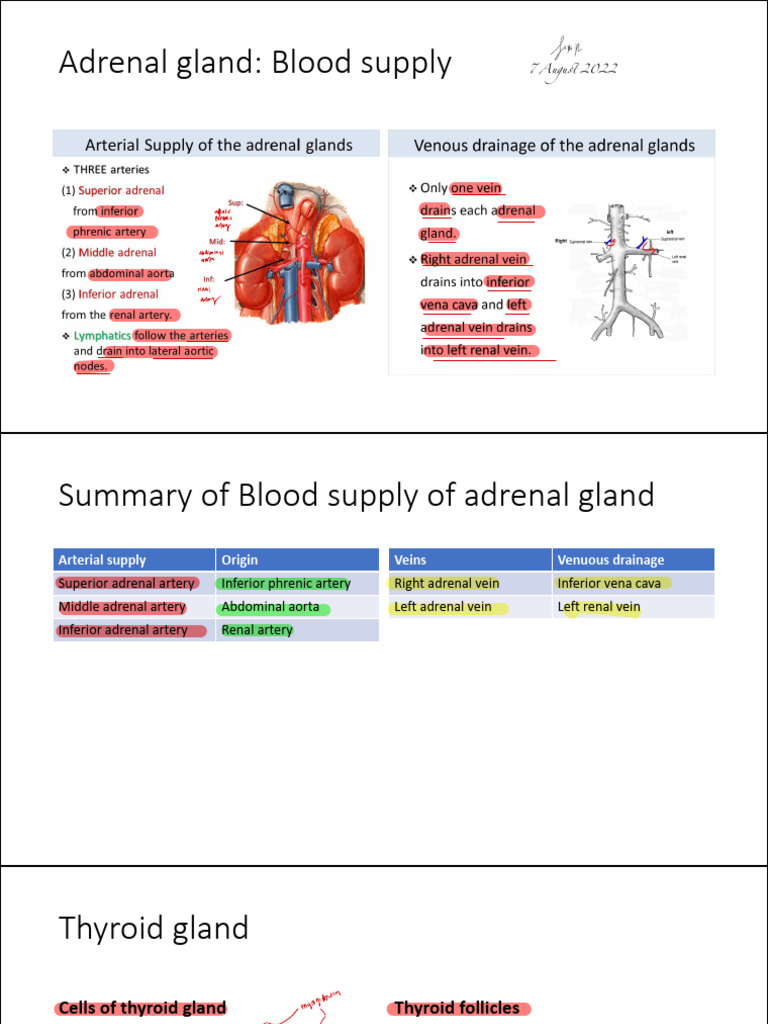 Anatomy Block 5 | PDF