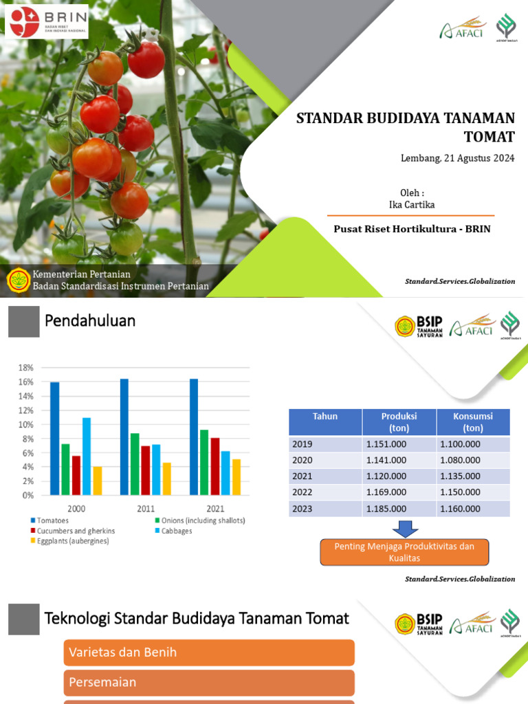03 Standar Budidaya Tomat | PDF
