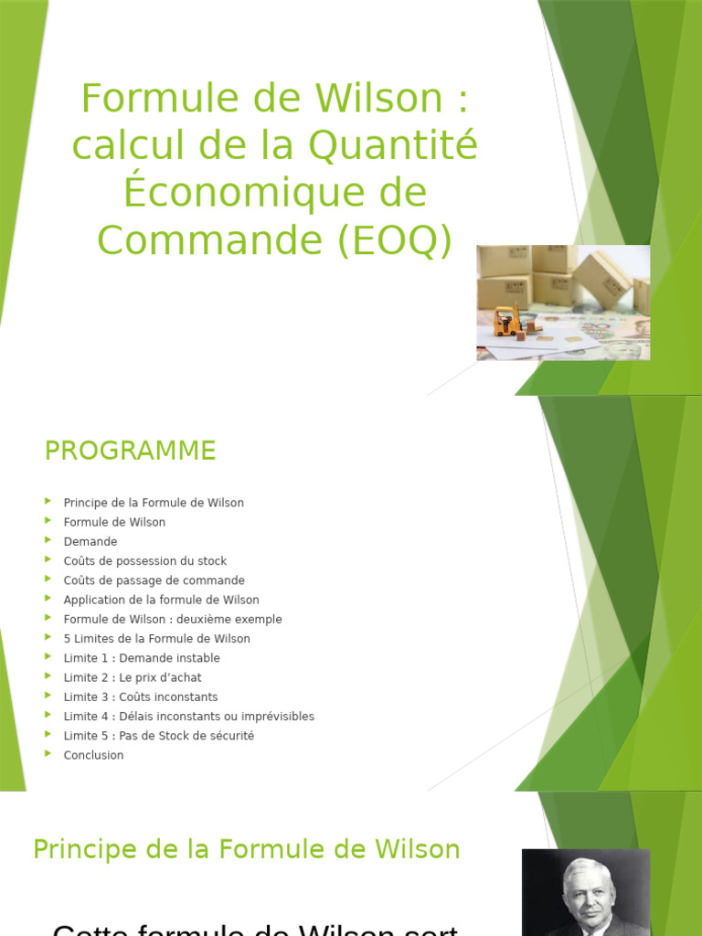 Formule de Wilson | PDF | Inventaire | Affaires