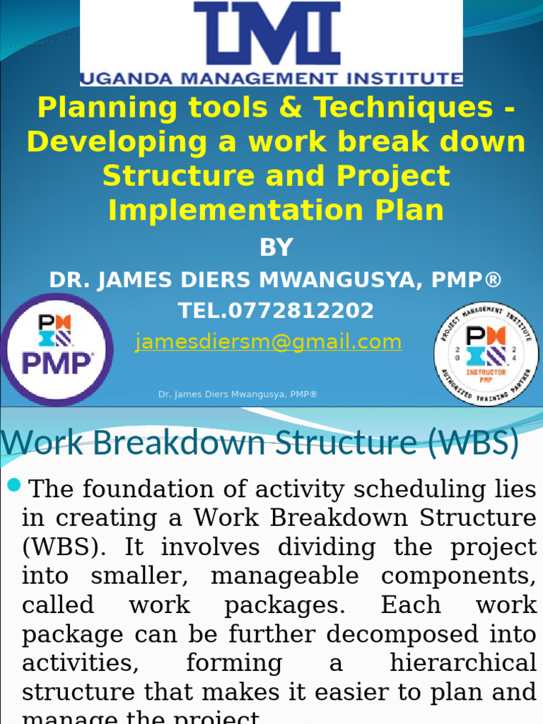 DPPM - Developing A Work Break Down Structure and Project Implementation Plan | PDF