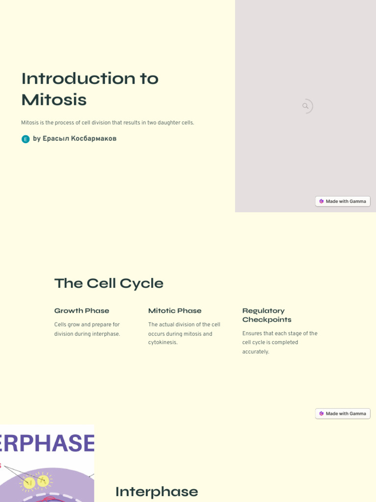 Introduction To Mitosis | PDF