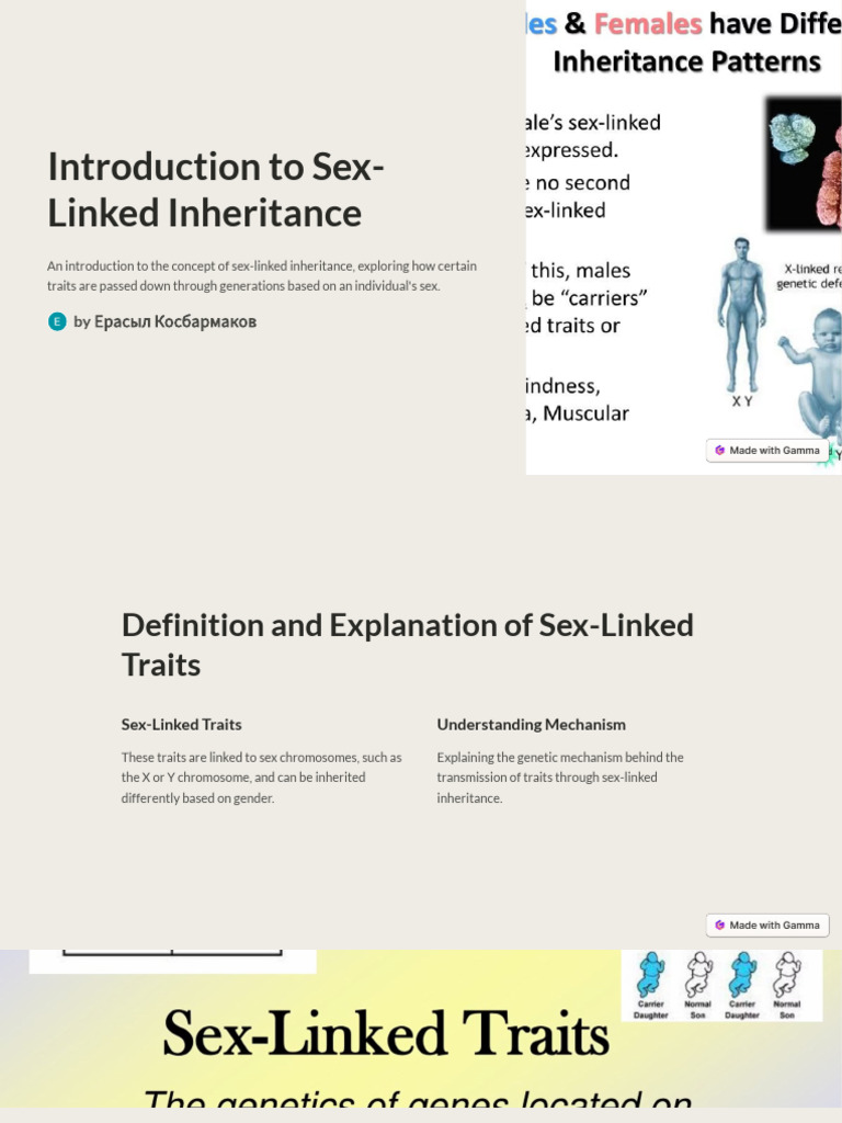 Introduction To Sex Linked Inheritance | PDF