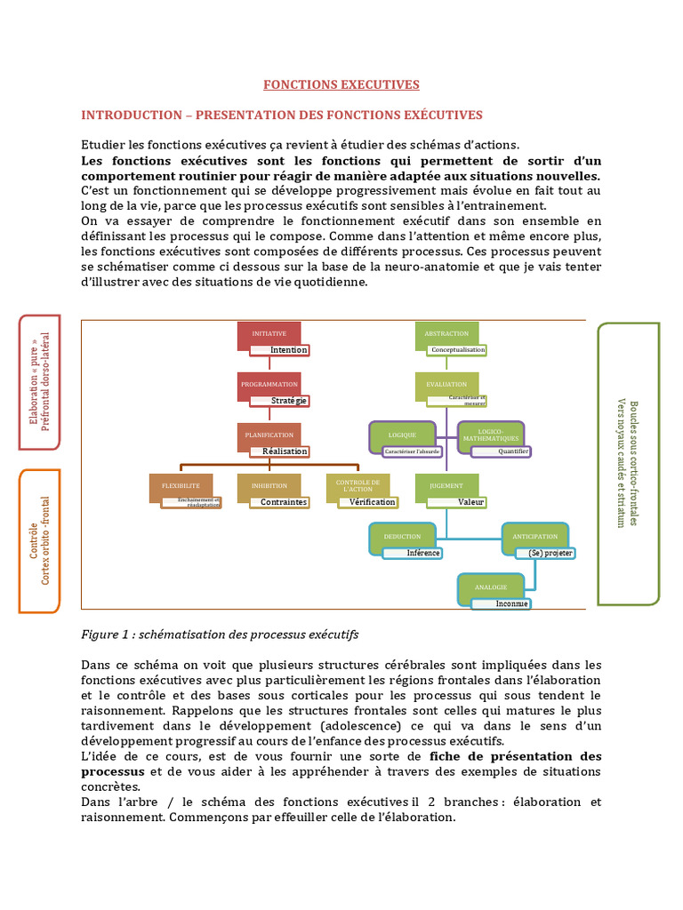 Fonctions Exécutives | PDF