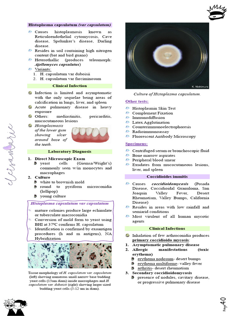 Ajellomyces Capsulatus: Culture of Histoplasma Capsulatum | PDF