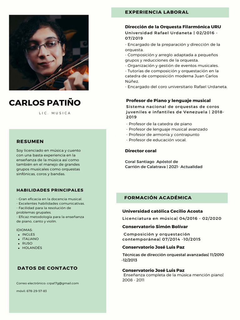Curriculum Carlos Patiño M | PDF