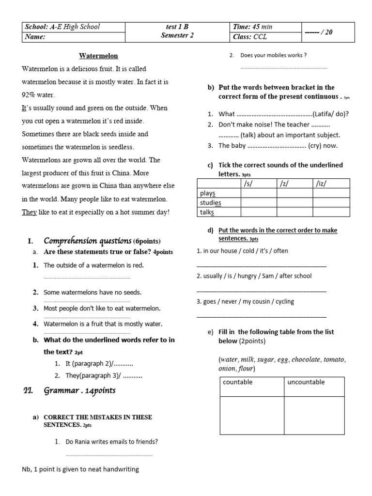 Common Core Test | PDF