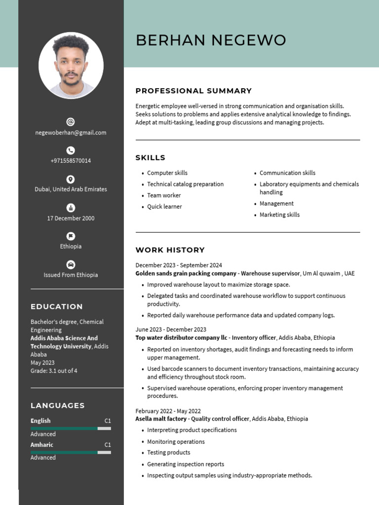 Berhan Negewo CV | PDF