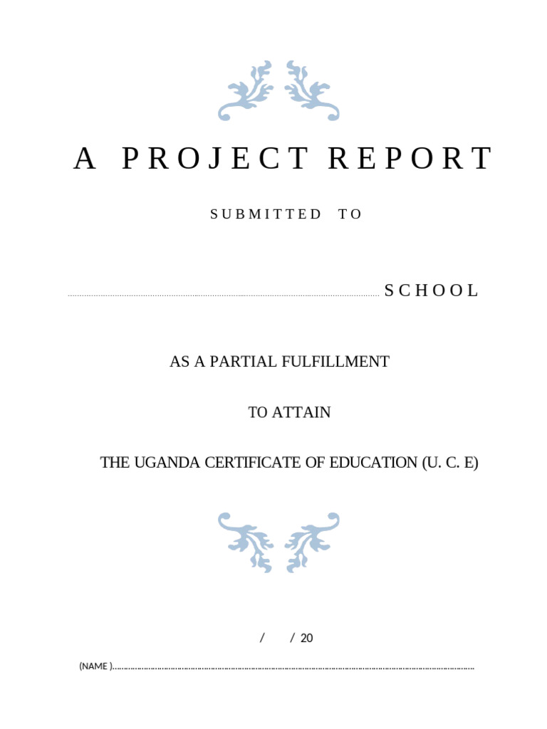 The Project Report | PDF