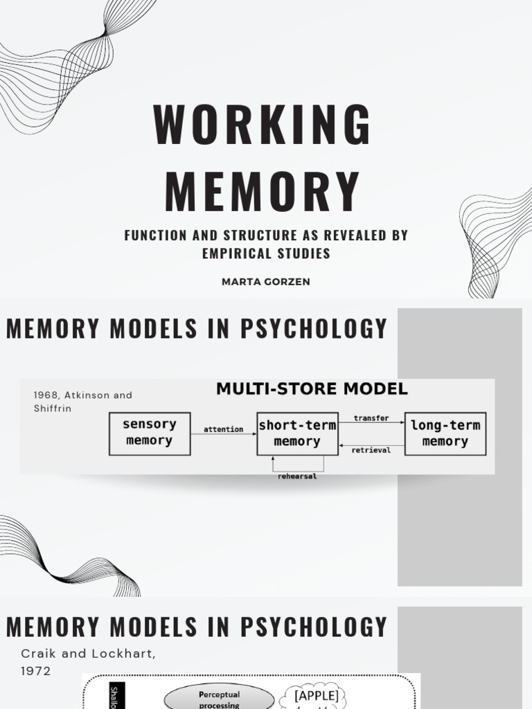 Working Memory | PDF