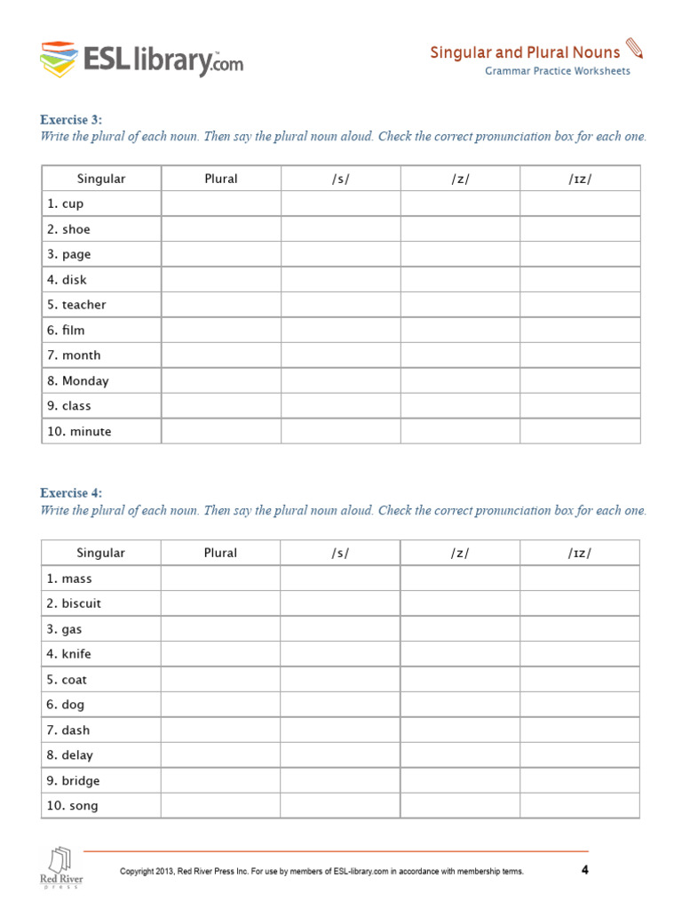 Singular and Plural Nouns | PDF