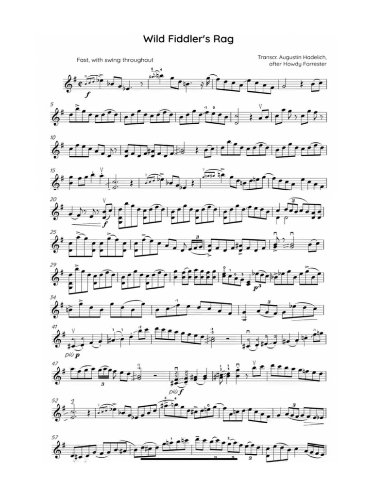 Wild Fiddler S Rag | PDF