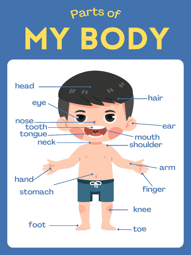 Parts of My Body Poster - 20240918 - 174604 - 0000 | PDF