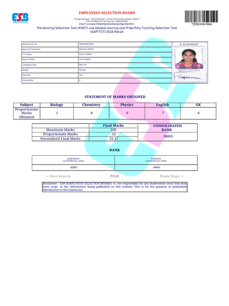 Employees Selection Board | PDF