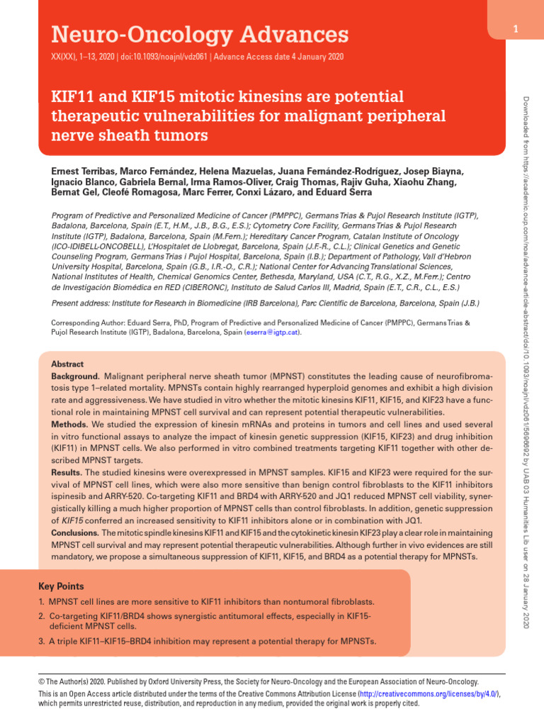 KIF11 and KIF15 Mitotic Kinesins Are Potential Therapeutic ...