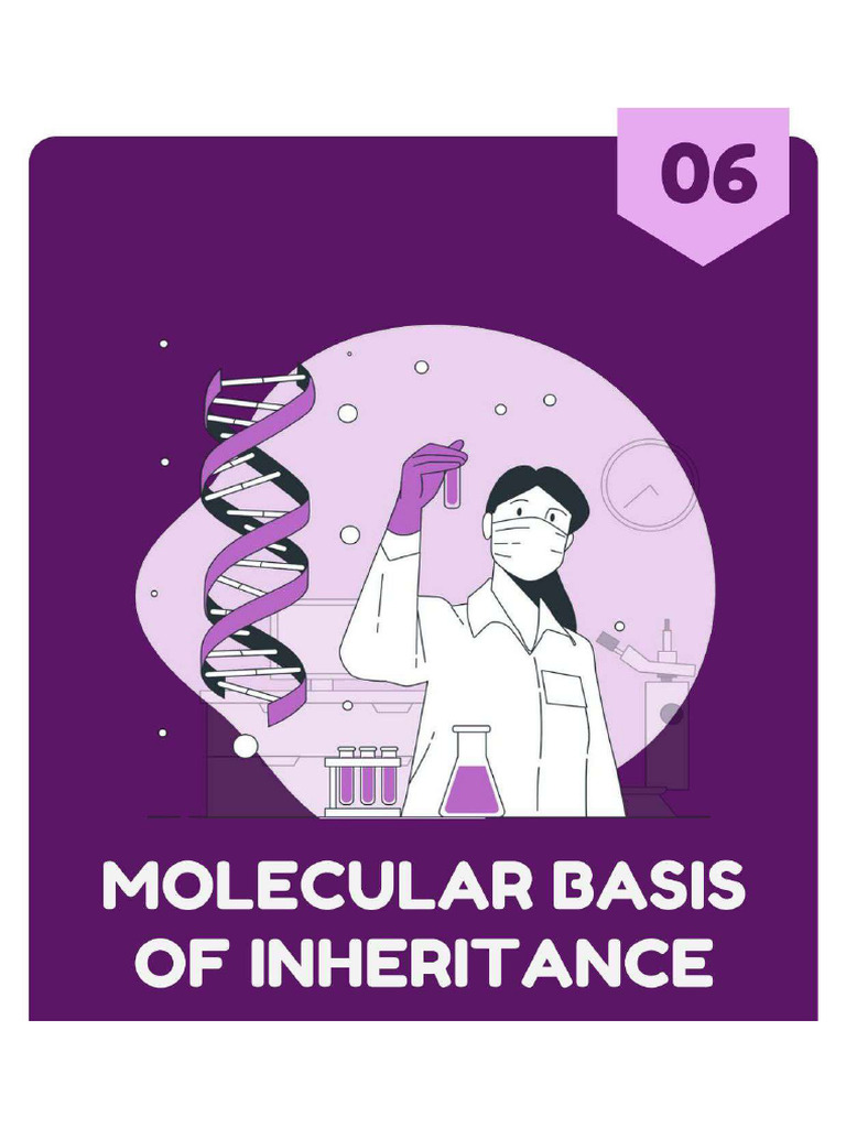 Molecular Basis of Inheritance-1 | PDF