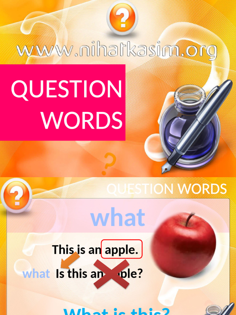 Question Words | PDF