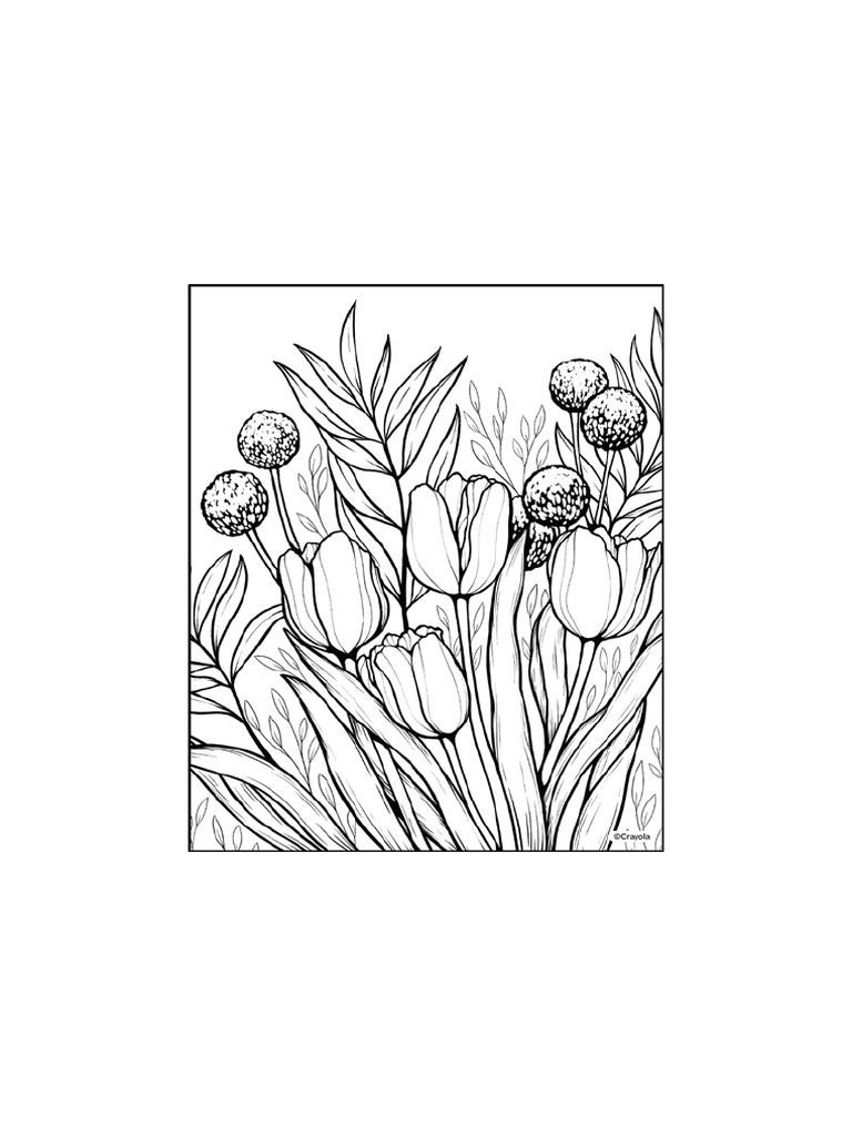 Tulips Free Coloring Page | PDF