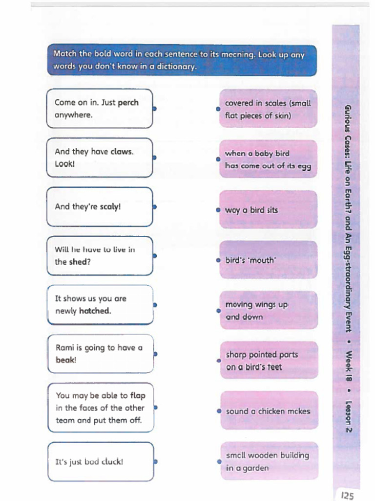 Yr 6 Act Eng Part | PDF