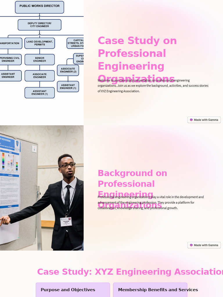 Case Study On Professional Engineering Organizations | PDF | Finance ...