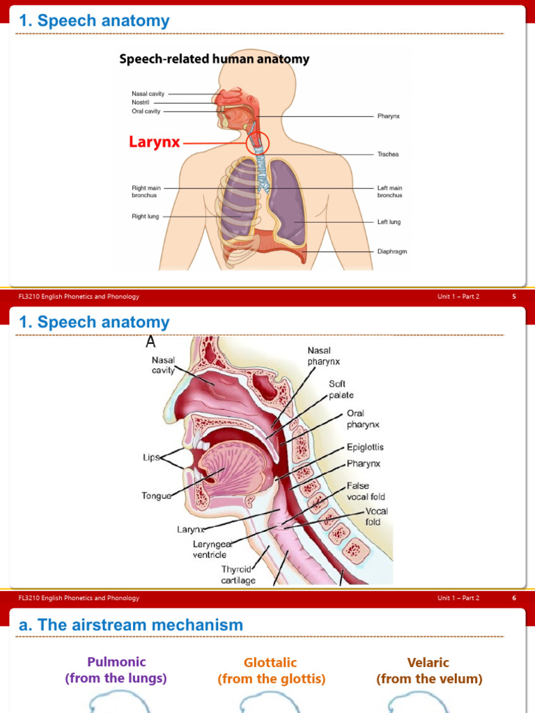 BL Unit 1 Part 2 Removed | PDF