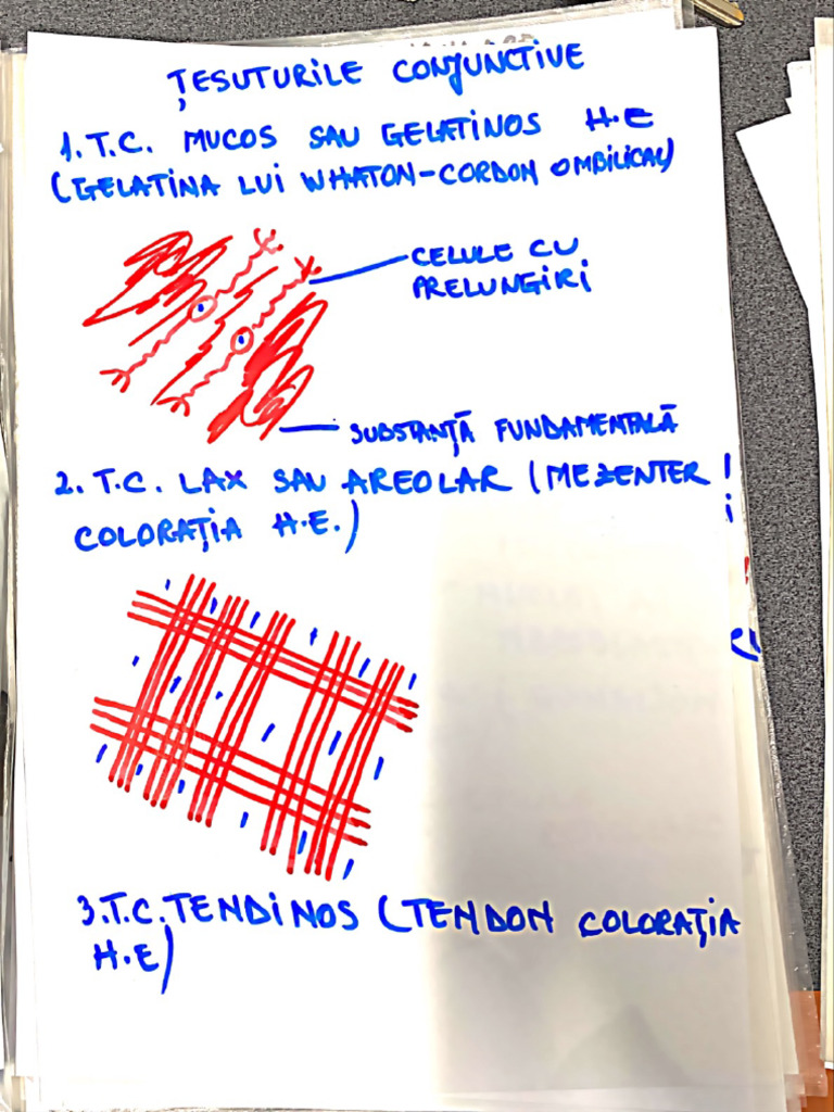 lp3 Conjunctiv | PDF