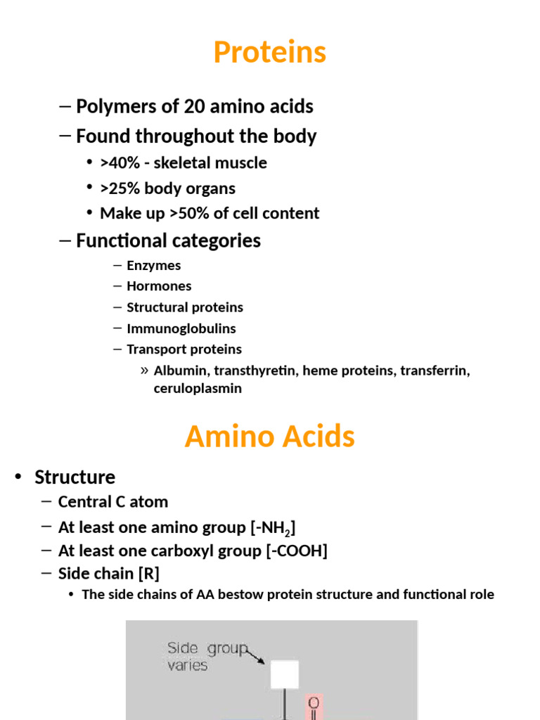09 Protein | PDF