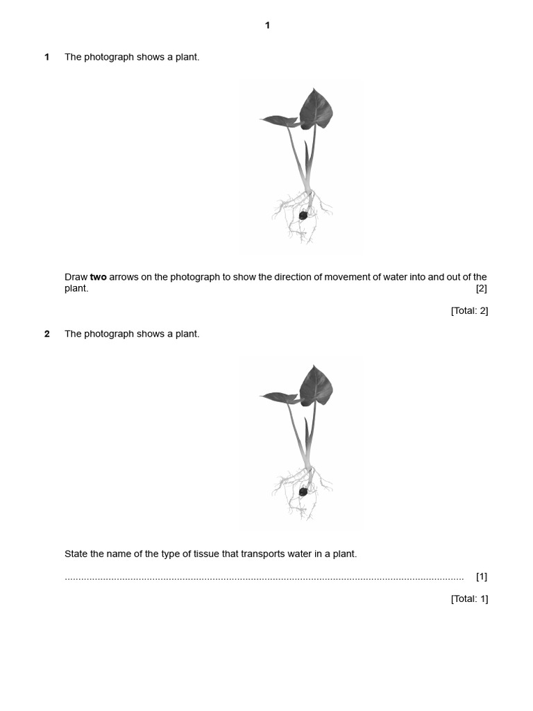 Transpiration QP | PDF | Tissue (Biology) | Science & Mathematics