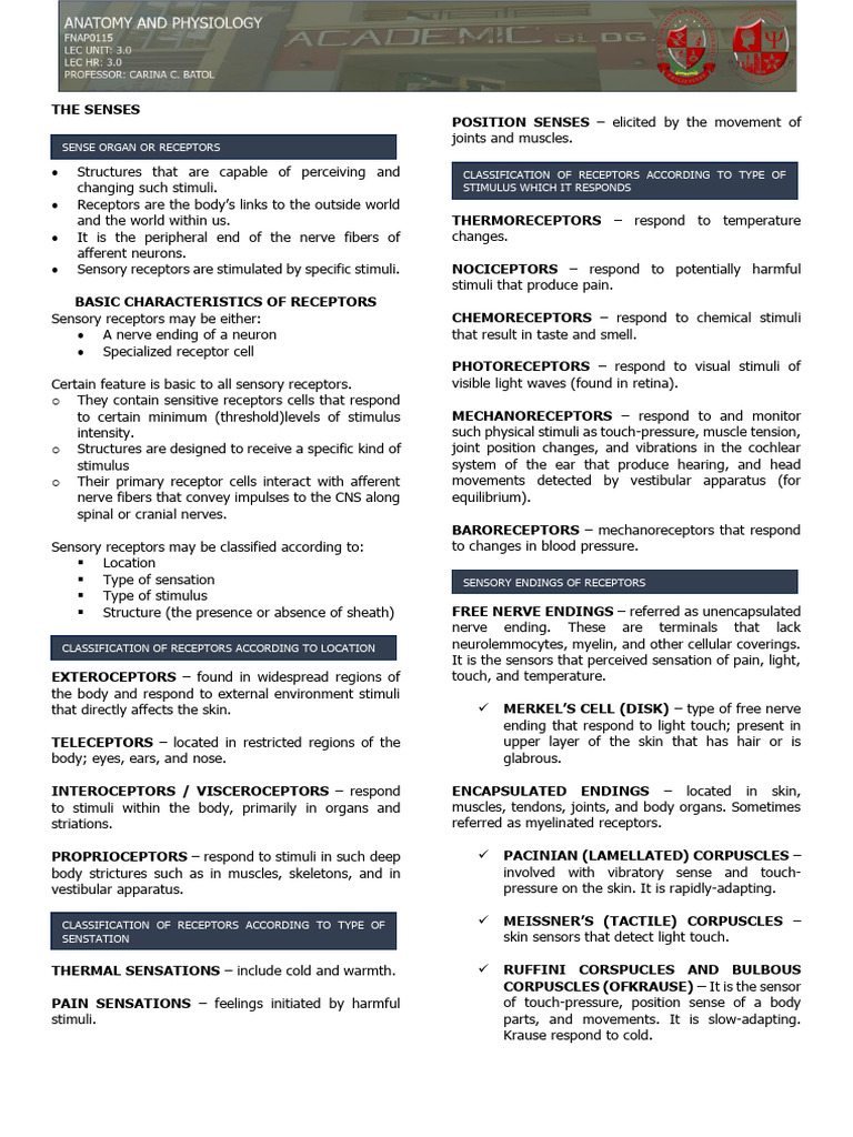 1.10. Anaphy The Senses | PDF