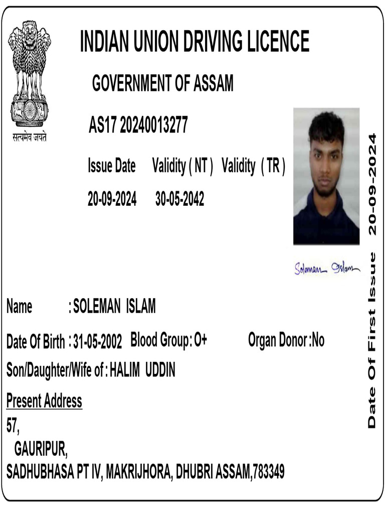 Driving Licence | PDF