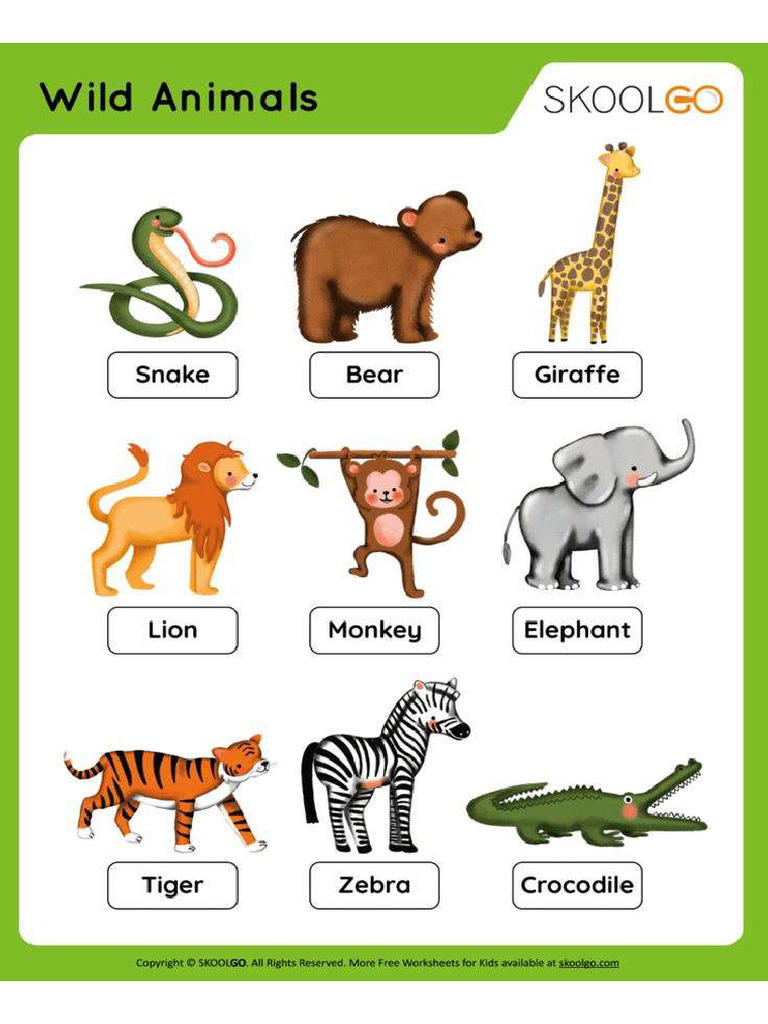 Animal Worksheet | PDF