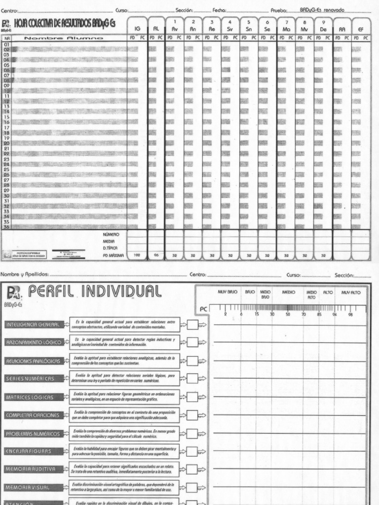 BADYG-E3 Transparencias | PDF