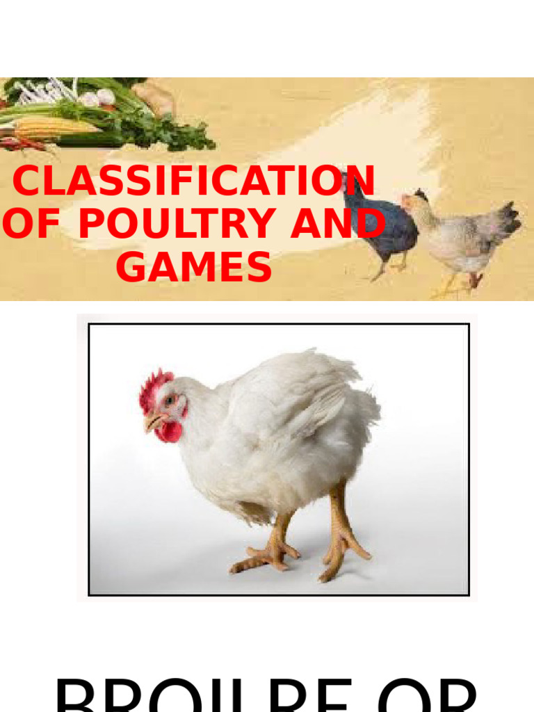 Classification of Poultry and Games | PDF